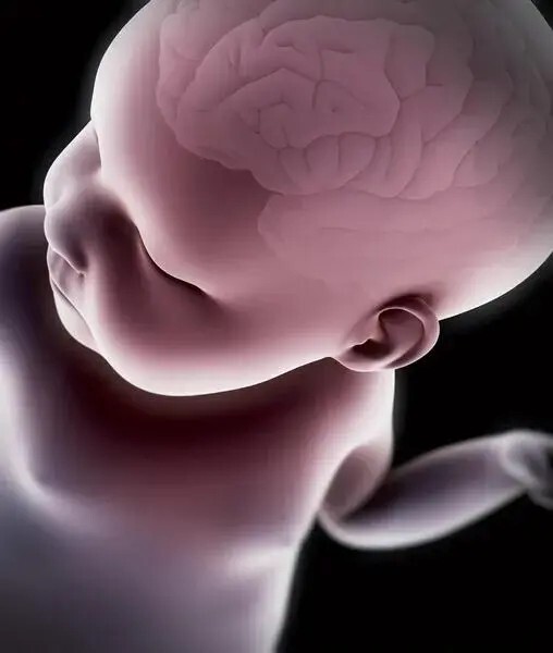 Neurologické poruchy :: petrafritsch